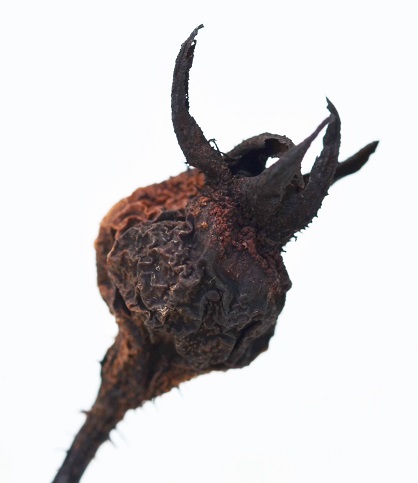 Hisse Hiffen – Kopf und Gestalt