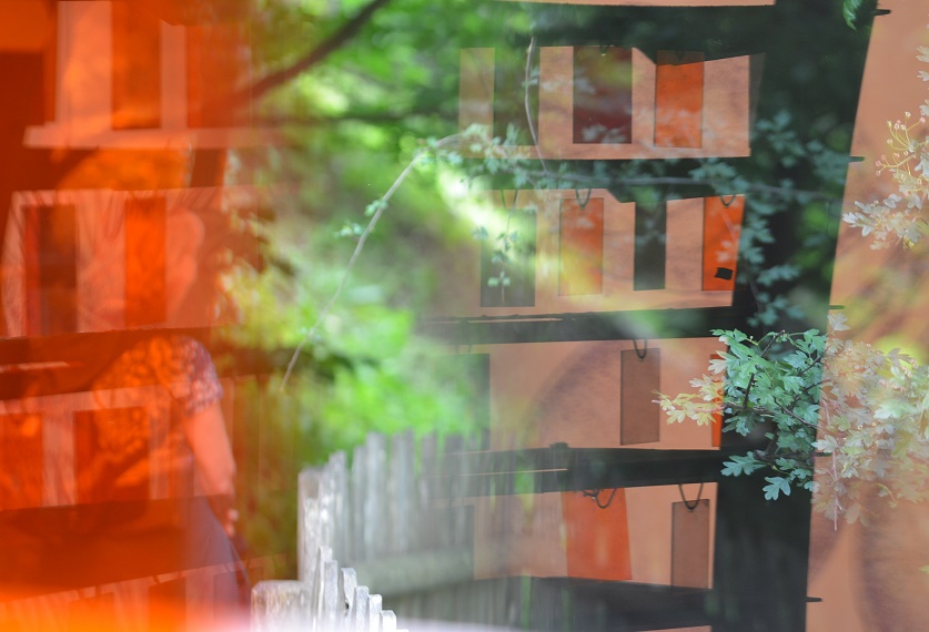 Lady – Kopf und Gestalt