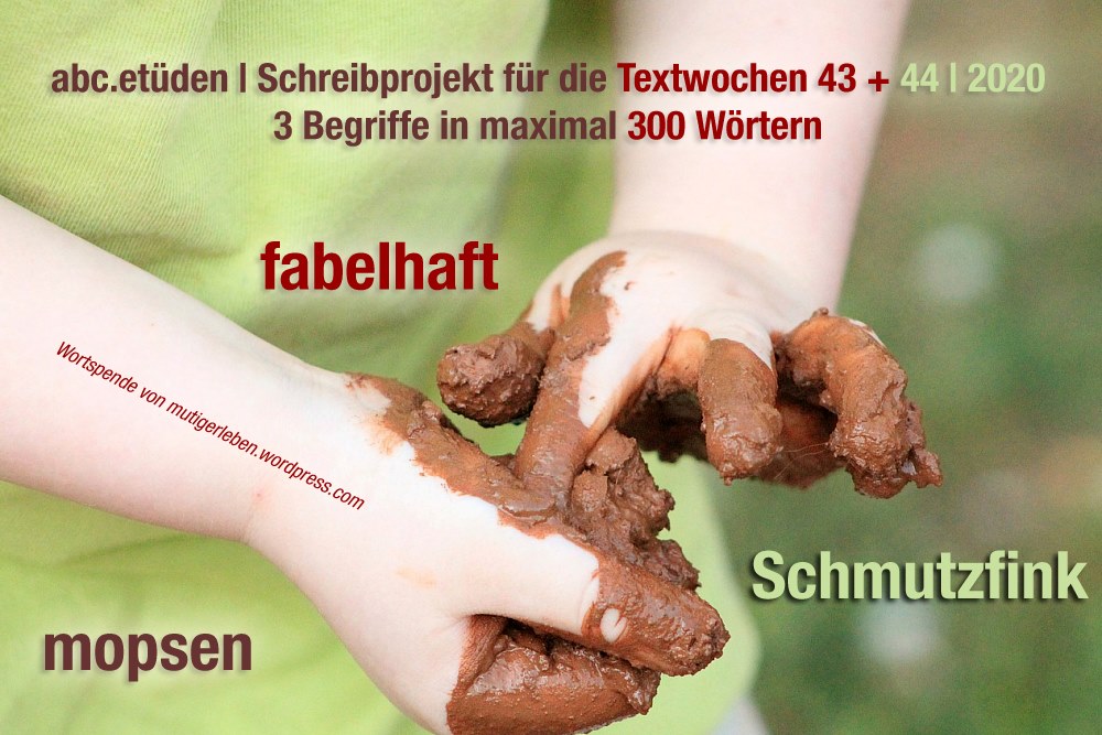 Mopsen – Kopf und Gestalt