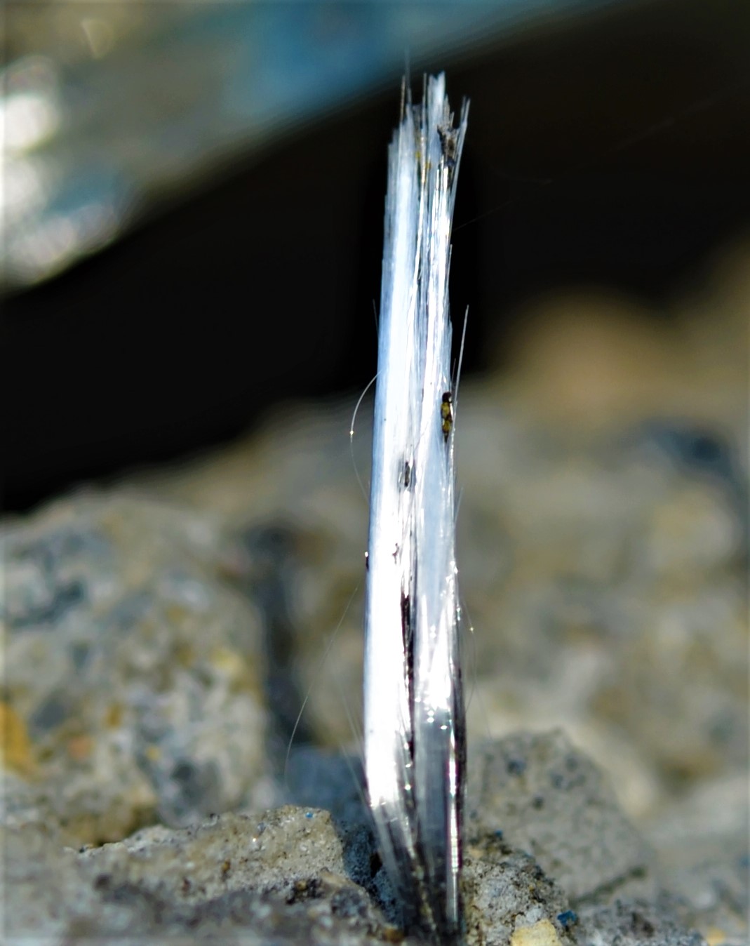 Ein Riss im Kontinuum – Kopf und Gestalt